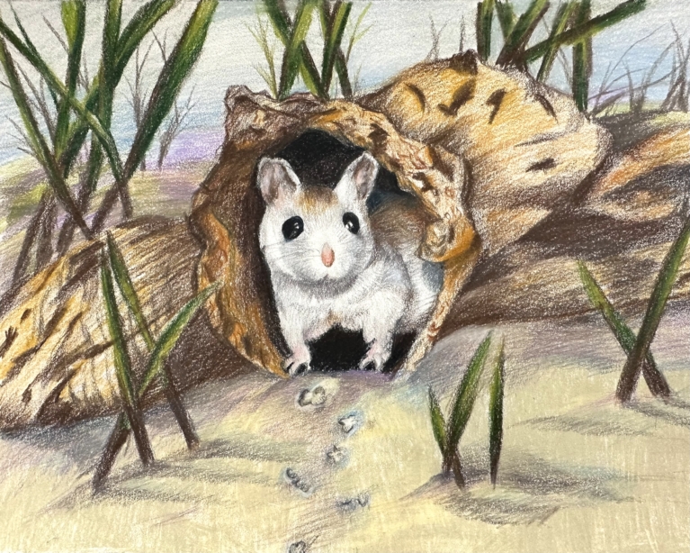 Endangered Species Youth Art Contest - Roger Williams Park Zoo