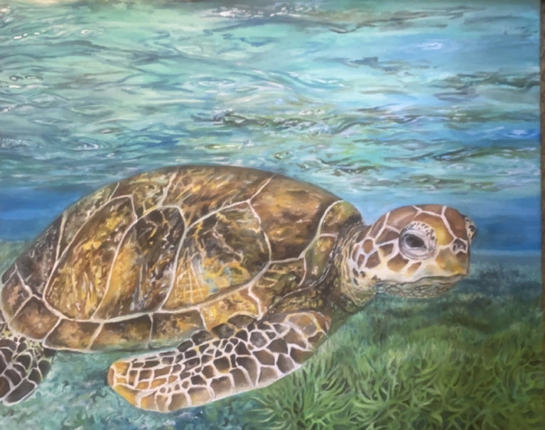 Endangered Species Youth Art Contest - Roger Williams Park Zoo