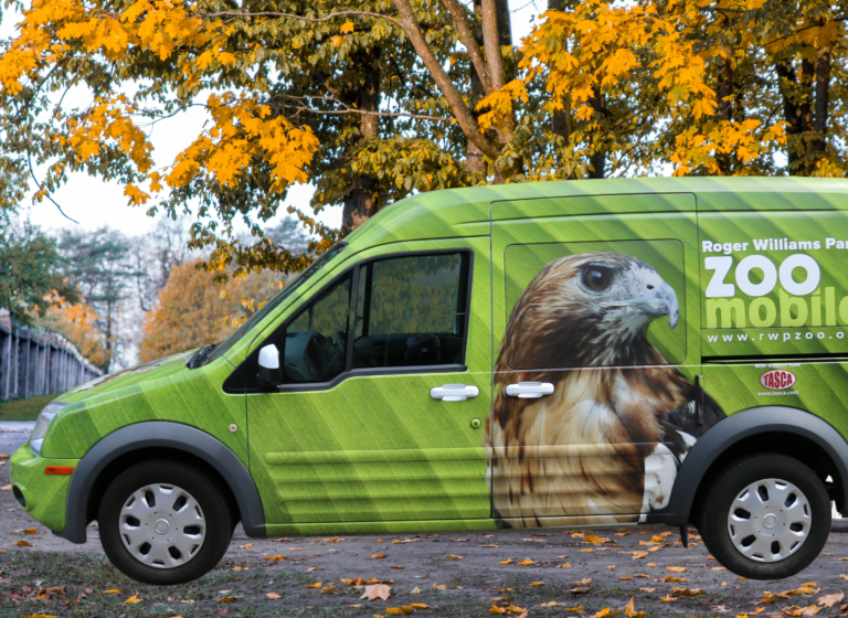 Zoo Programs at your Facility - Roger Williams Park Zoo