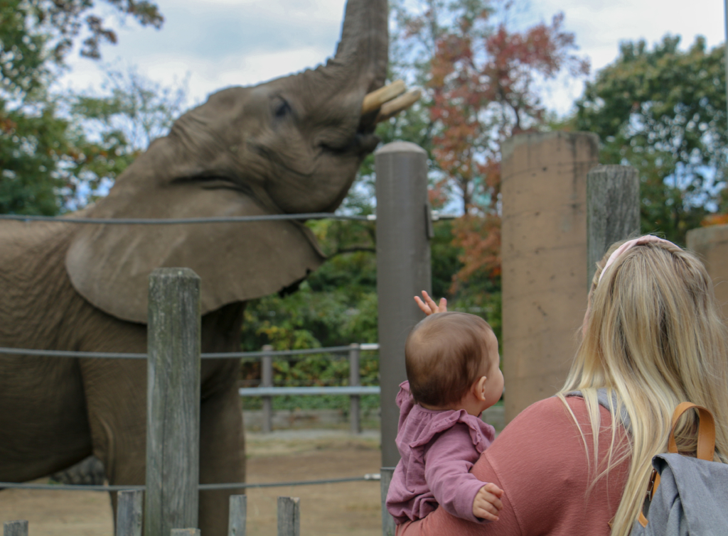 Rhode Island Zoo Access Program - Roger Williams Park Zoo