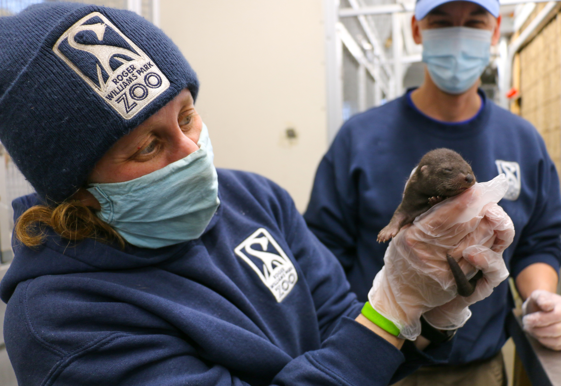 About RWP Zoo - Roger Williams Park Zoo