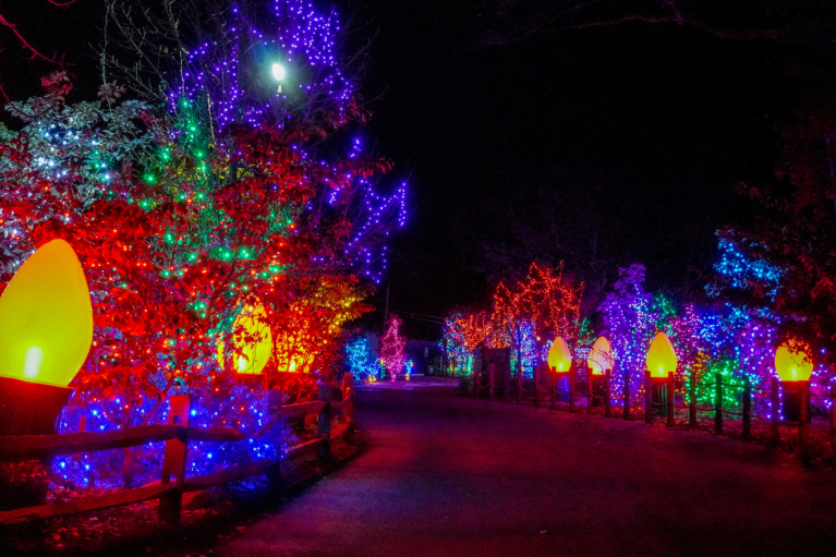 Holiday Lights Spectacular - Roger Williams Park Zoo