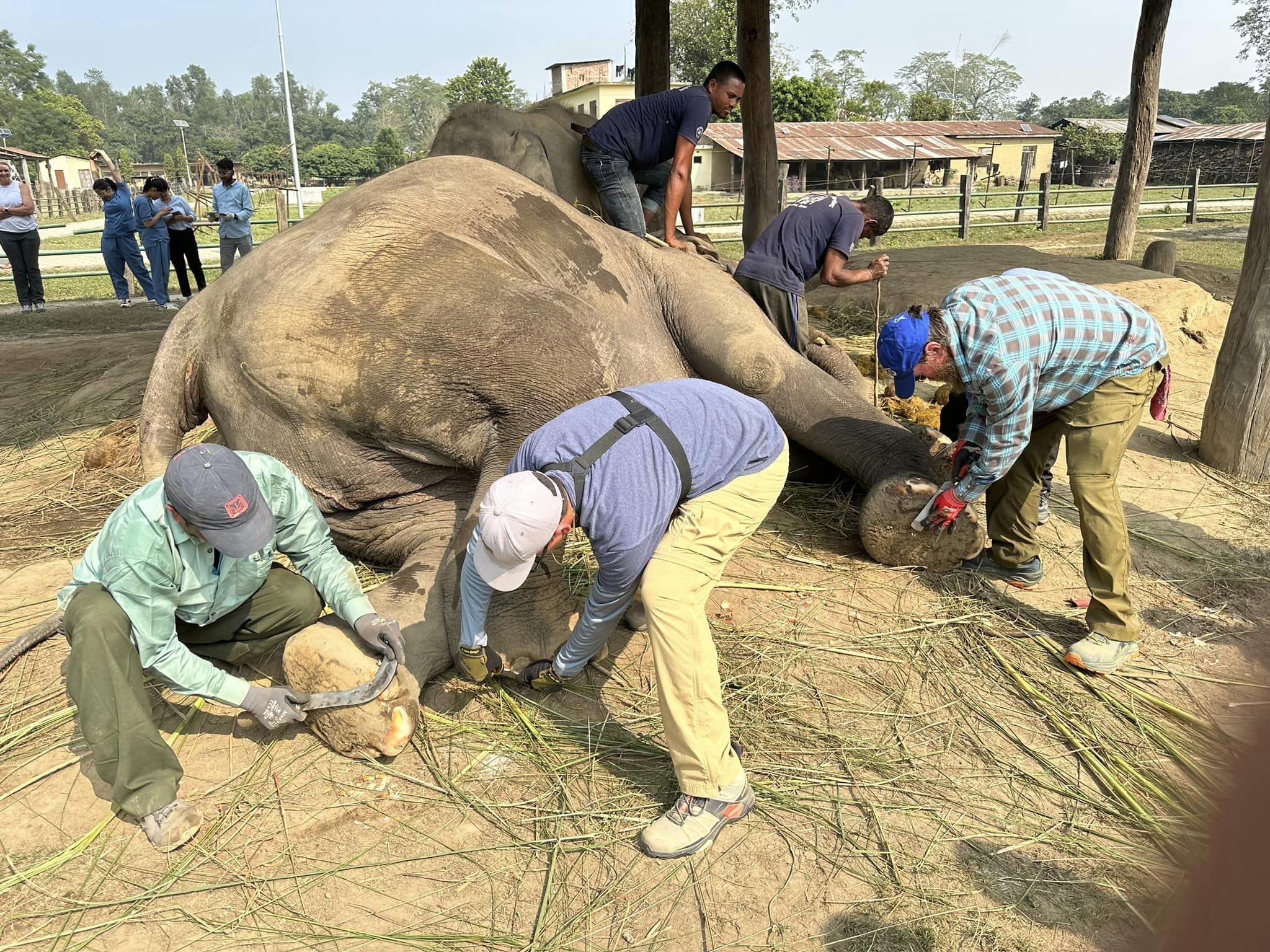 Roger Williams Park Zoo's Elephant Zookeeper Brett Haskins gave ...