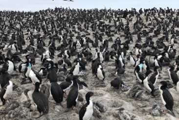 Quarters for Conservation - Roger Williams Park Zoo