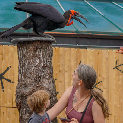 Dining & Shopping - Roger Williams Park Zoo